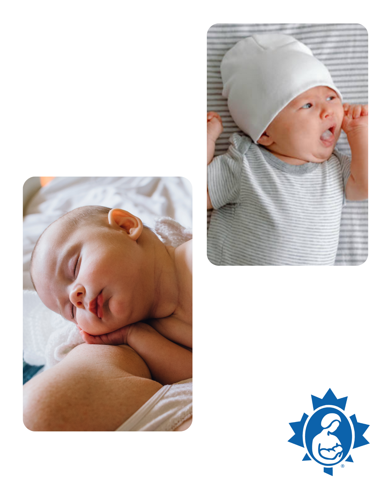Establishing Your Milk Supply | La Leche League Canada