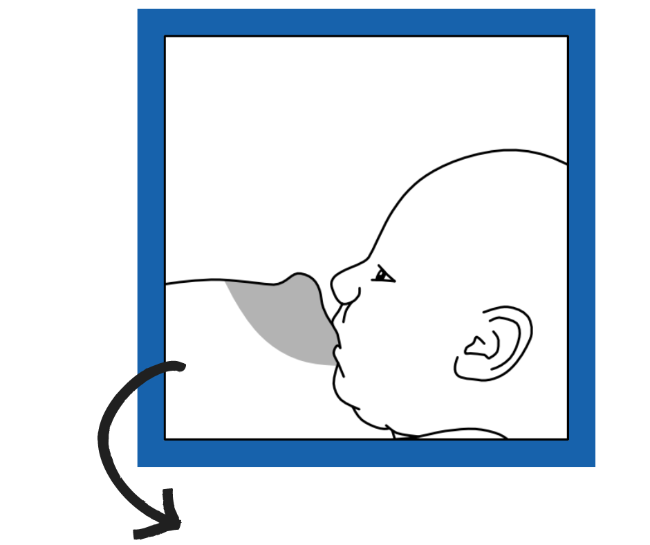 Positioning and Latching | La Leche League Canada